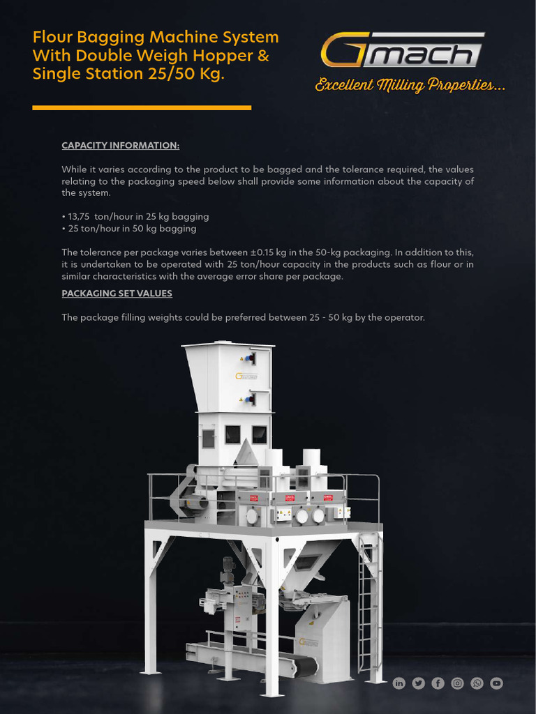 Flour Bagging Machine System With Double Weigh Hopper Single Station | PDF