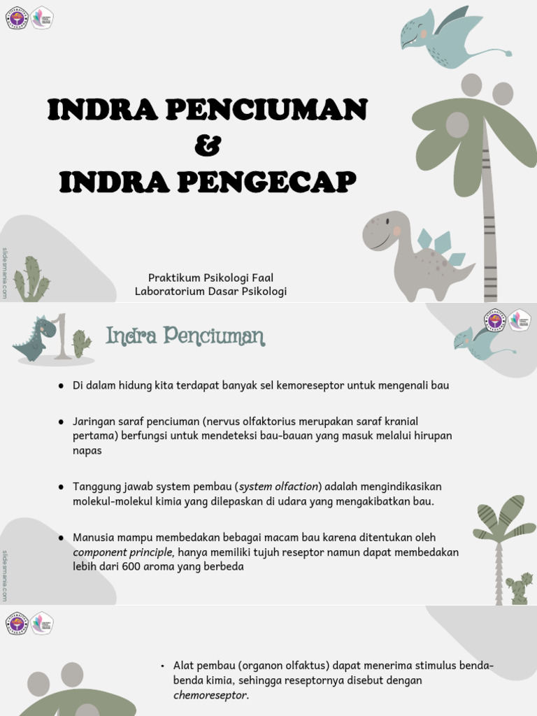 M11-Materi Indra Penciuman Dan Indra Pengecap | PDF
