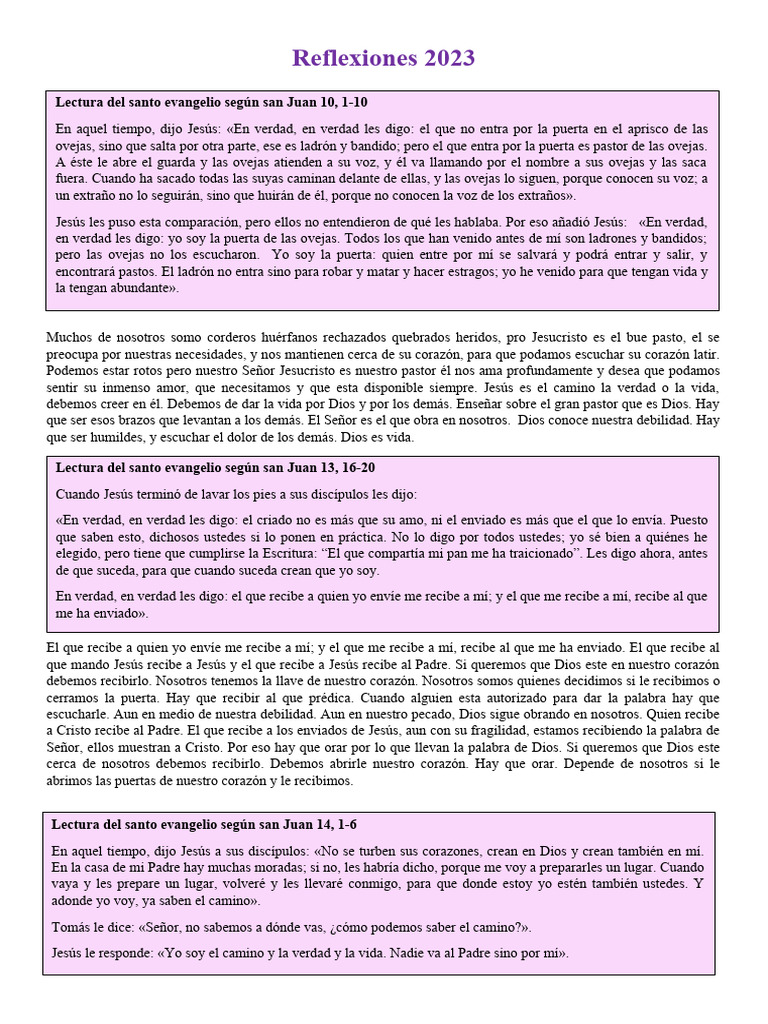 Reflexiones 2023 | PDF