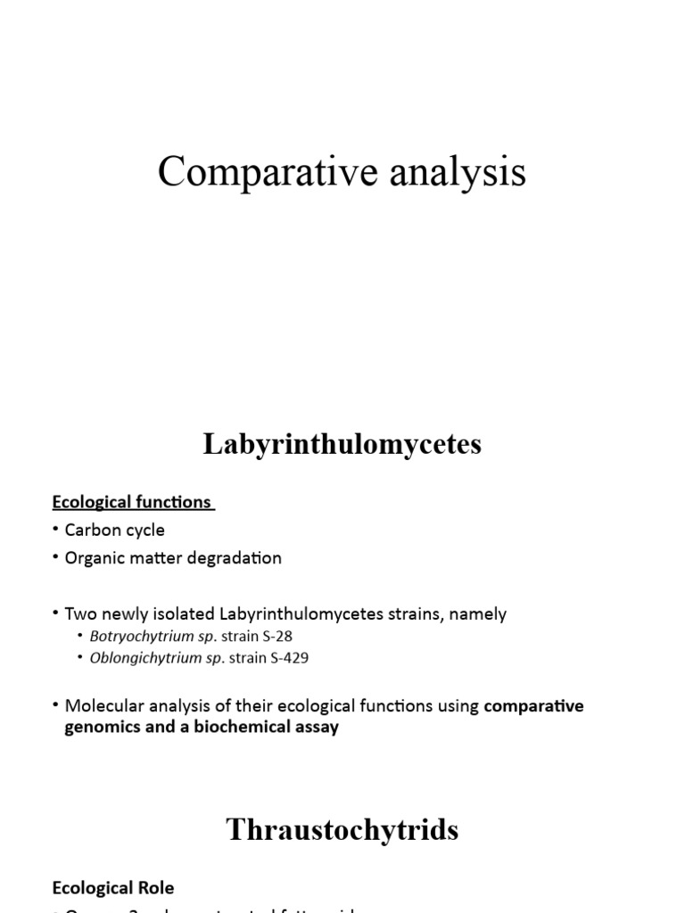 Labyrinthulomycetes and Thraustochytrids Analysis | PDF | Dna ...