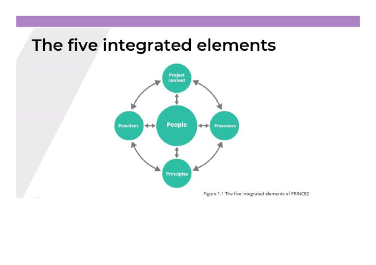 Integrated Element Prince2 | PDF