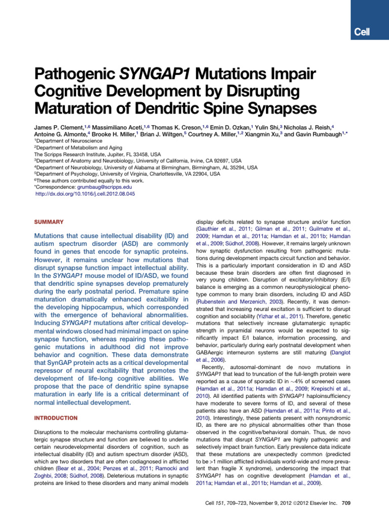 Pathogenic SYNGAP1 Mutations Impair Cognitive Development by Disrupting ...
