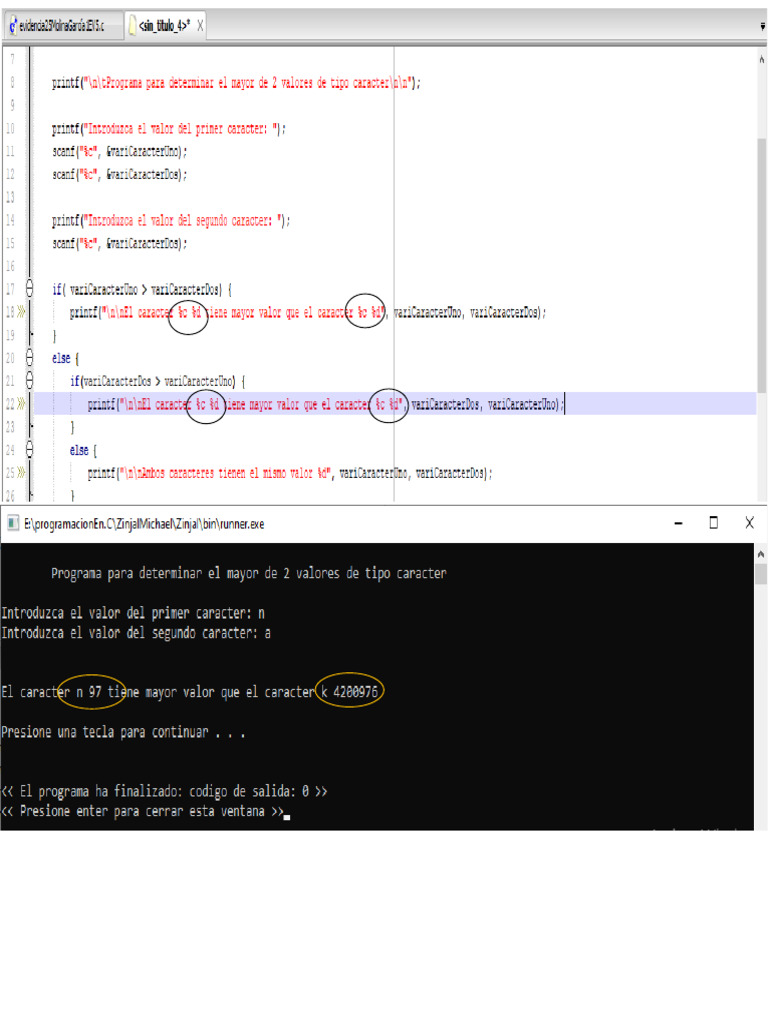 Error Tipo de Dato | PDF