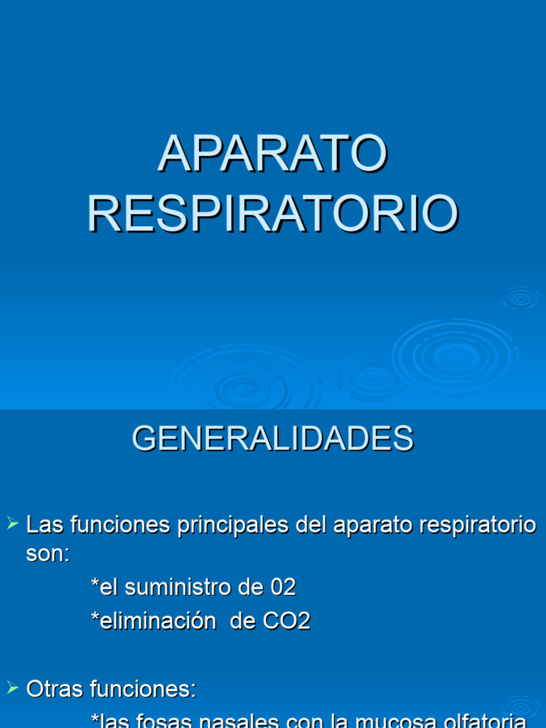 APARATO RESPIRATO [Autoguardado] | PDF | Epitelio | Pulmón