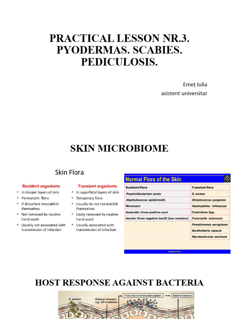 Practical Leson nr.3 | PDF