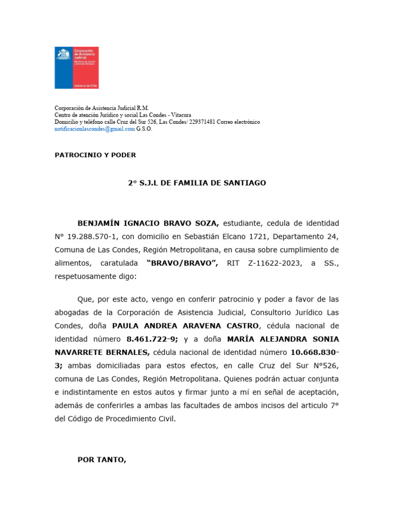 Ejemplo Patrocinio y Poder | PDF