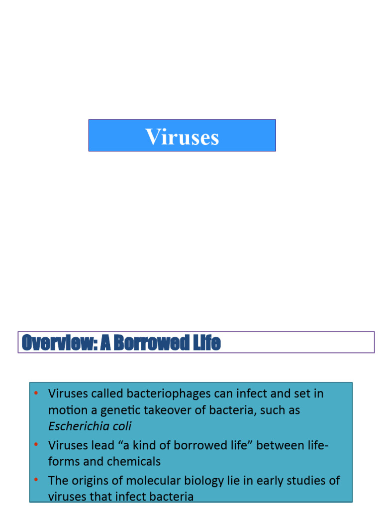 Viruses | PDF | Virus | Bacteriophage