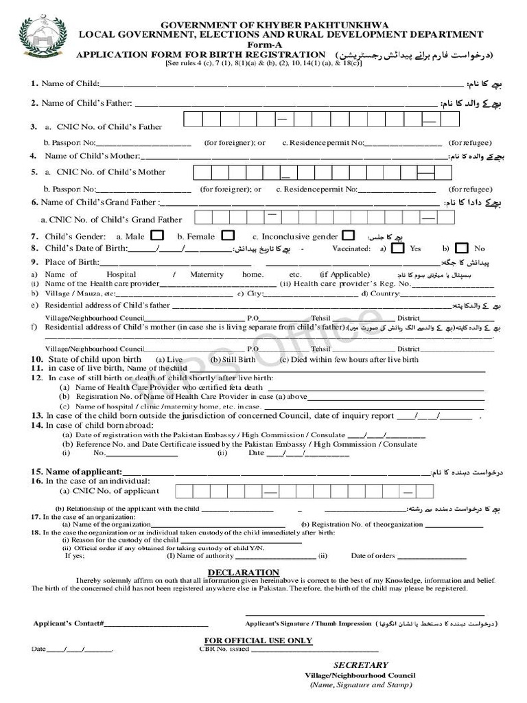 New Birth Certificate Form | PDF