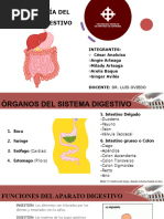 Prospecto DIGERIL | PDF