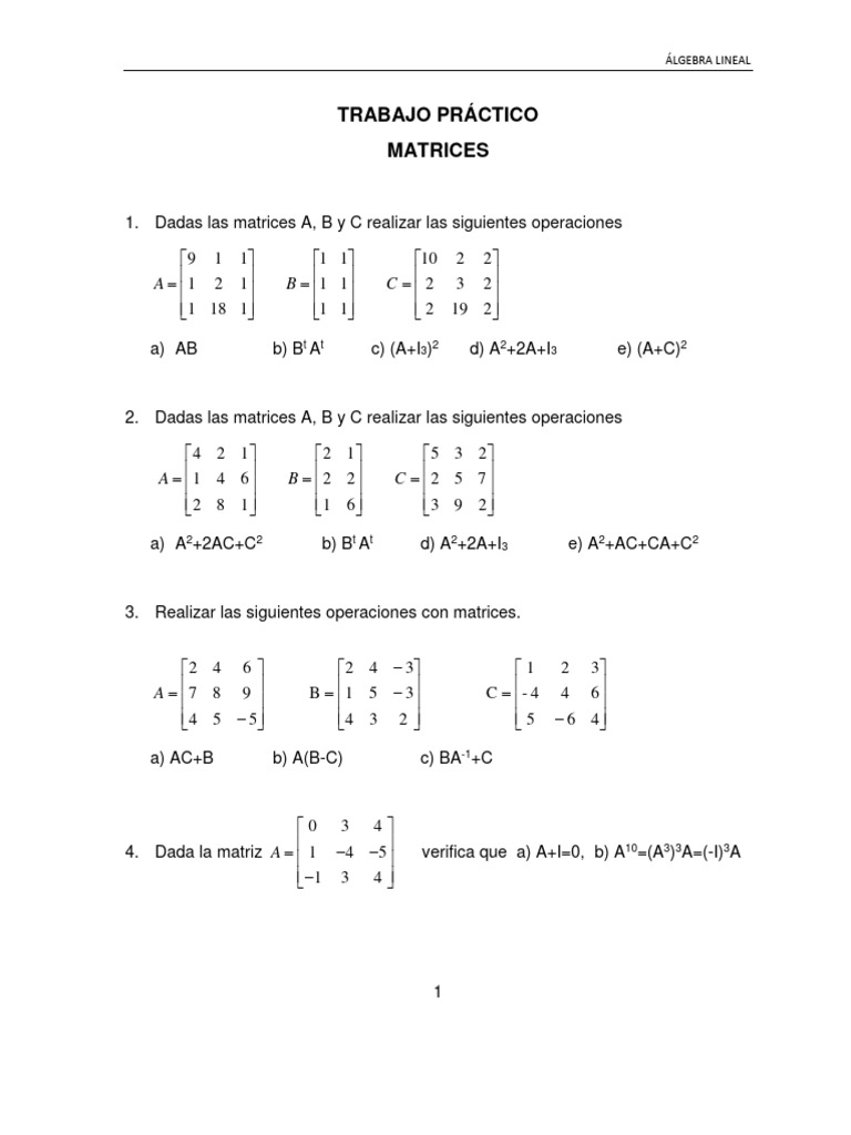 PRÁCTICO DE MATRICES | PDF | Matriz (Matemáticas) | Conceptos matemáticos