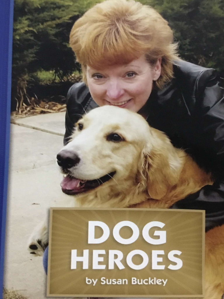 Dog Heroes | PDF
