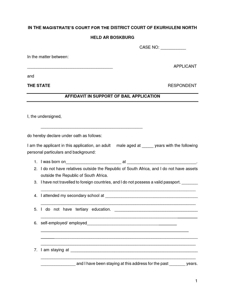 Bail Application - Pro Forma | PDF