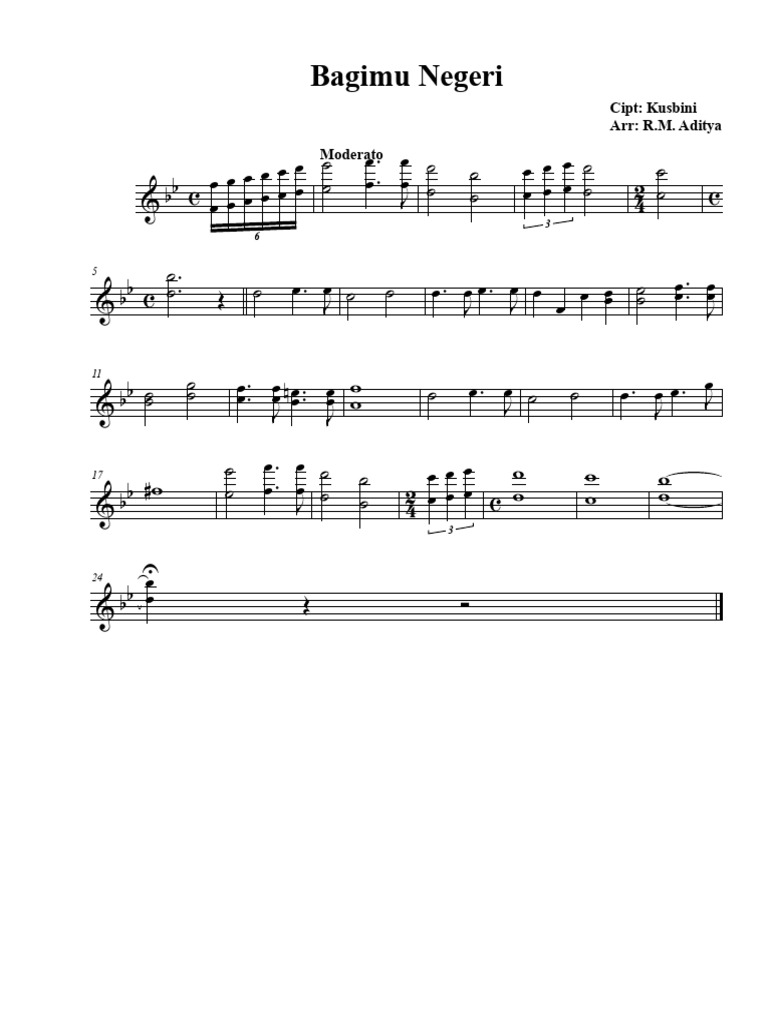 Bagimu Negeri - Violin | PDF