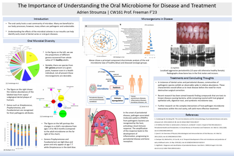 Colwrit Professonal Audience Poster | PDF