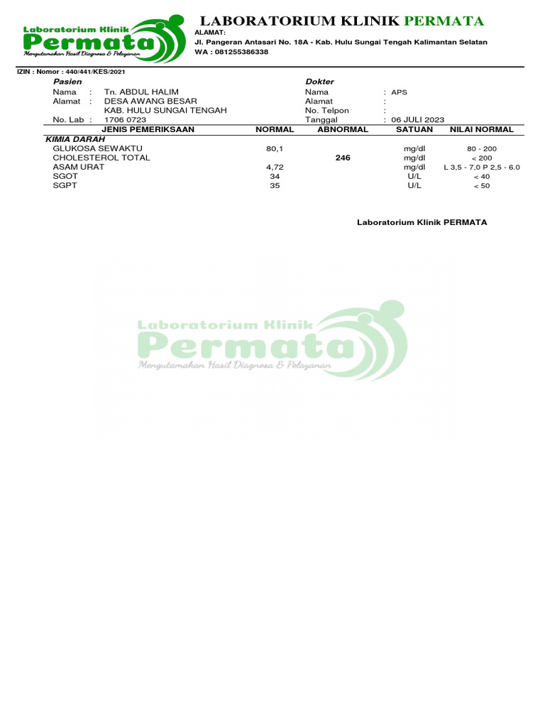Tn. ABDUL HALIM | PDF