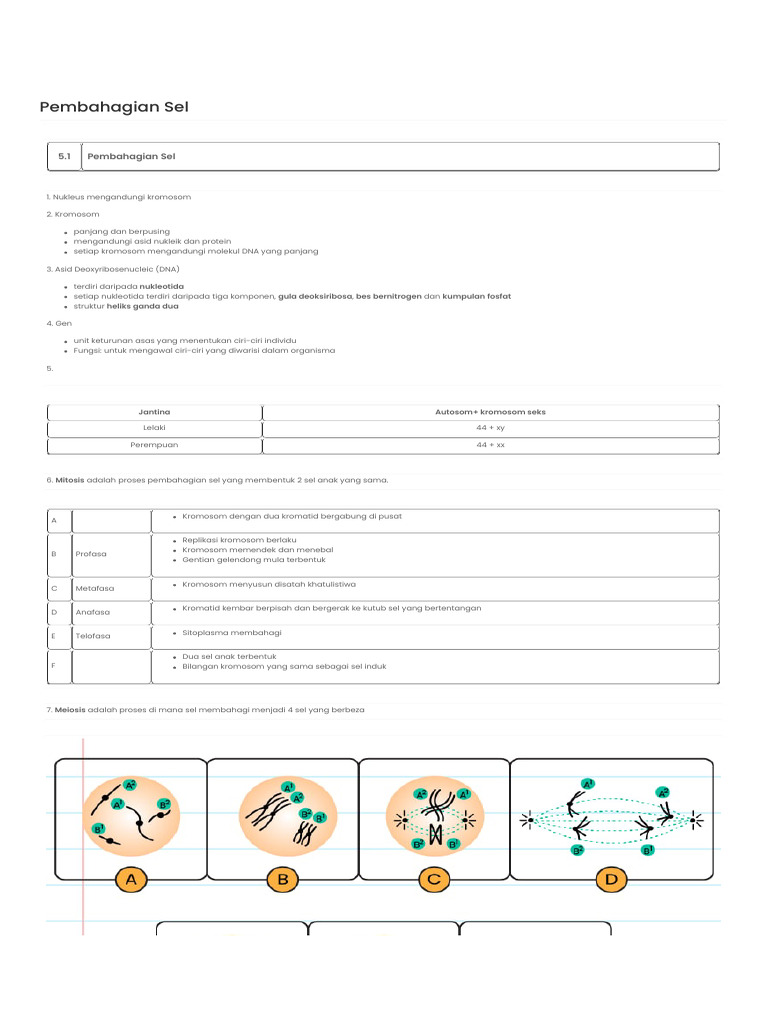 Pembahagian Sel | PDF