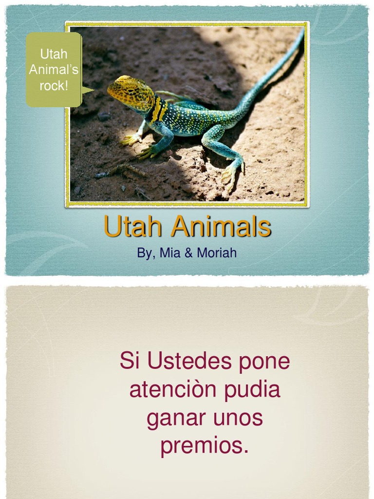 Utah Animals: Descriptions of Grizzly Bears, Prairie Dogs, Bobcats, and ...