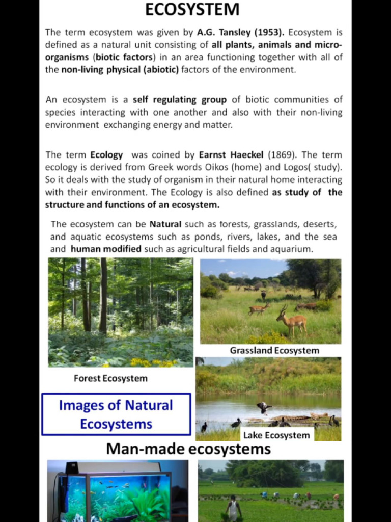 UNIT-2 Ecosytem (Structure and Function - Food Chain. Food Web, Energy ...