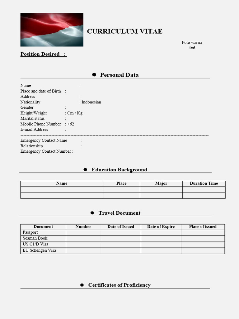 CONTOH CV STANDARD I | PDF