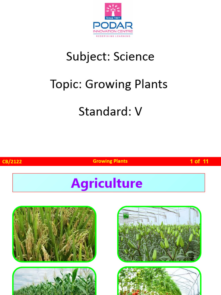 CB V EVS Growing Plants Agriculture | PDF