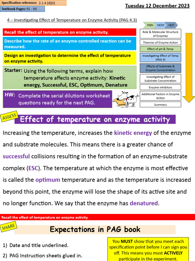 Temperature Effects on Enzyme Activity | PDF | Active Site | Enzyme