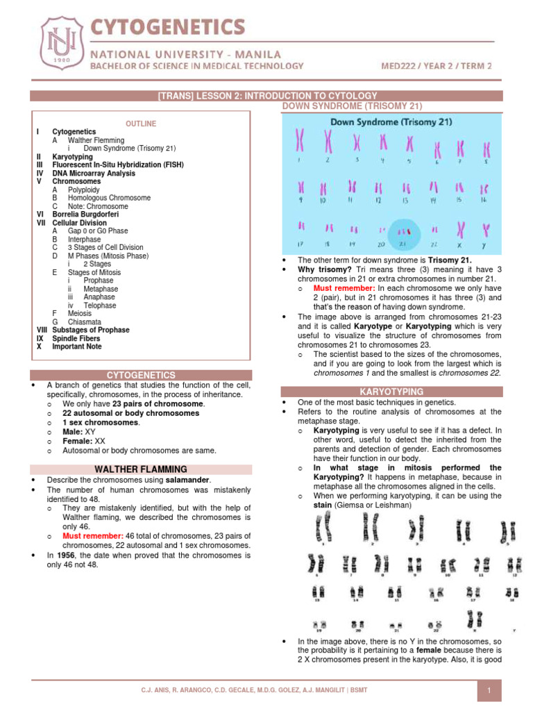 CYTOGENETICS Lesson 2 Intro To Cytology | PDF | Meiosis | Mitosis