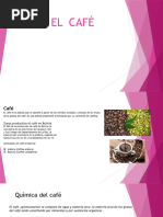 Composición Química del Café | PDF | café | Cafeína