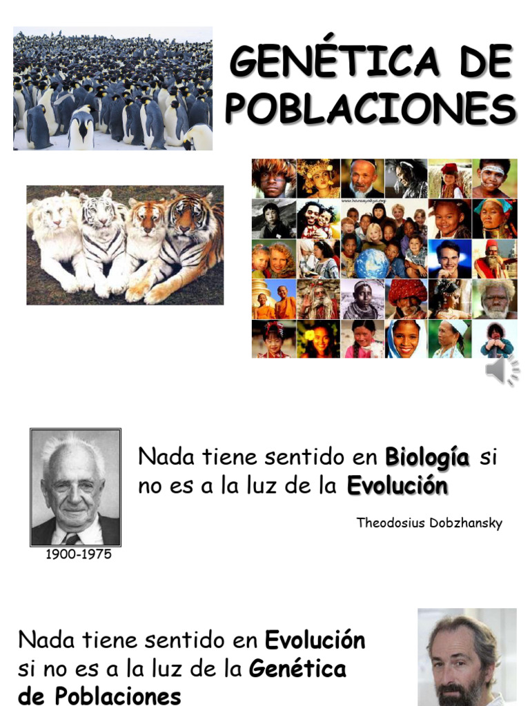 Genética De Poblaciones Pdf Ciencia Y Matemáticas 6590