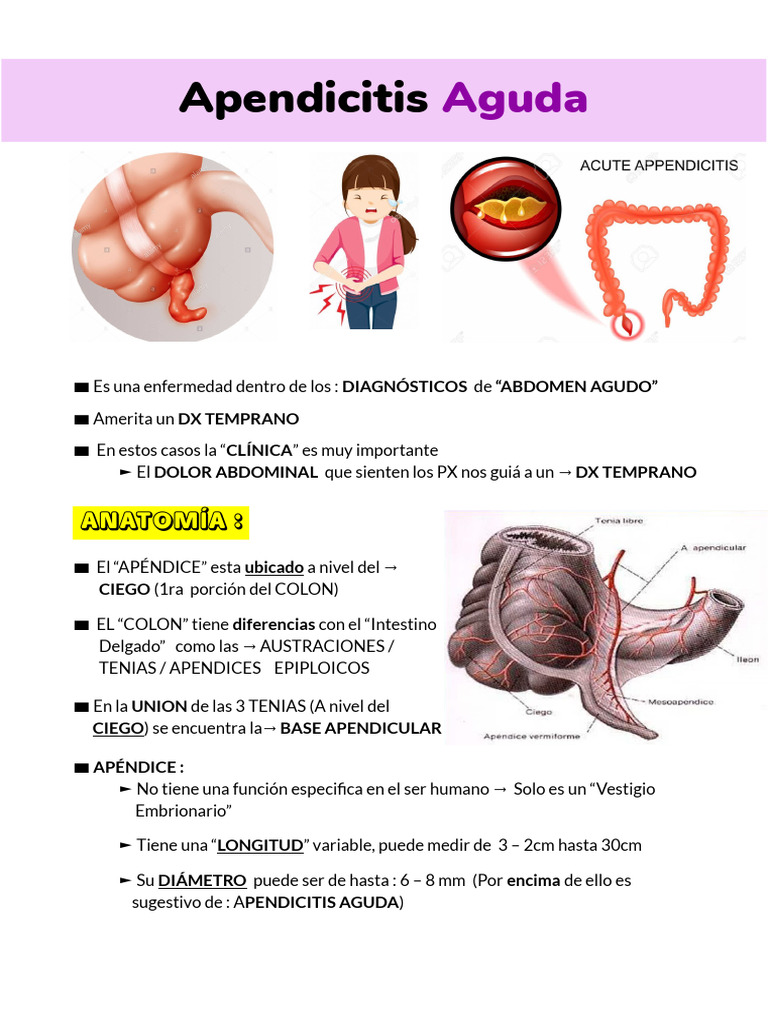 Apendicitis Cirugia | PDF | Abdomen | Especialidades Medicas