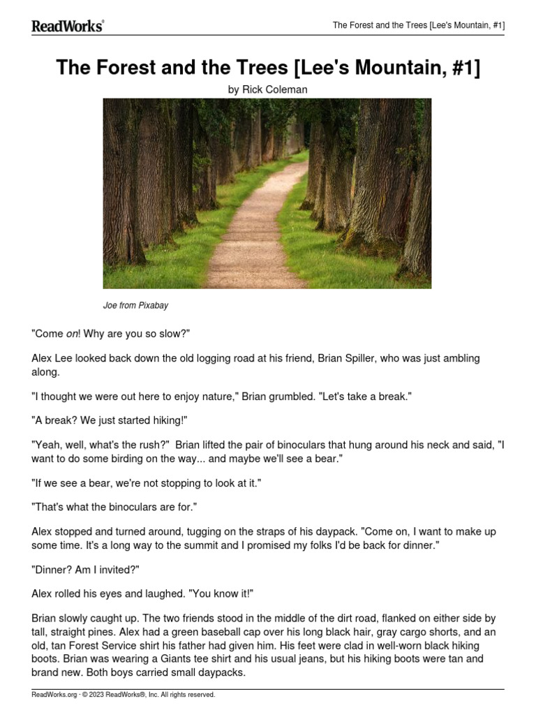 Reading Comprehension | PDF