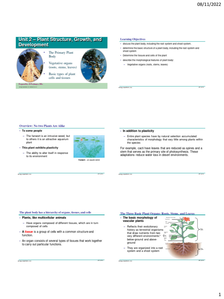 Lec 5. Plant Structure, Growth and Development | PDF | Tissue (Biology ...