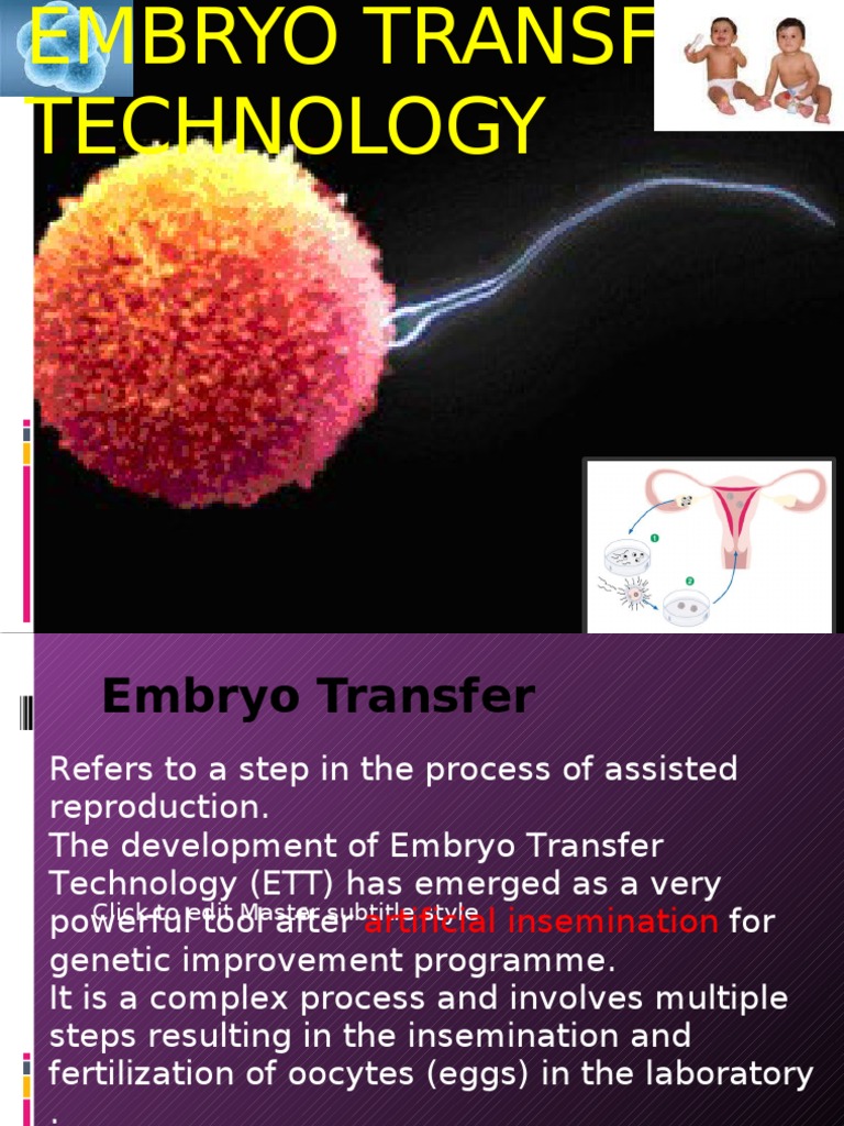 Embryo Transfer Technology Explained | PDF | In Vitro Fertilisation ...