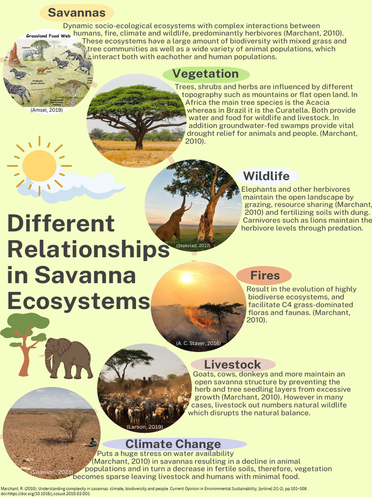 Infographic | PDF | Savanna | Herbivore