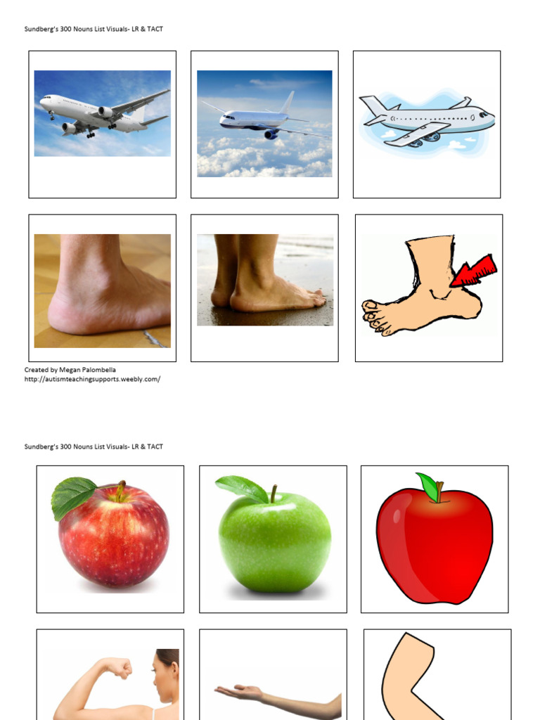 275976335 300 Common Nouns Lr Tact Visuals | PDF