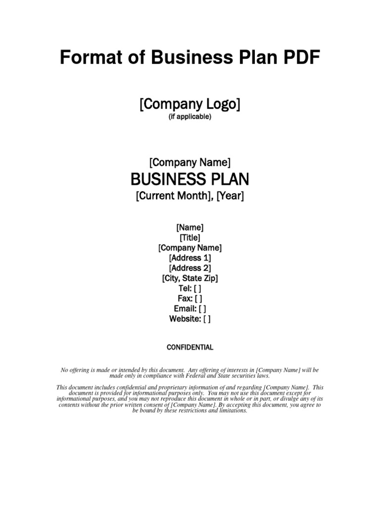 Business Plan Format PDF Guide | PDF | Business Plan | Business