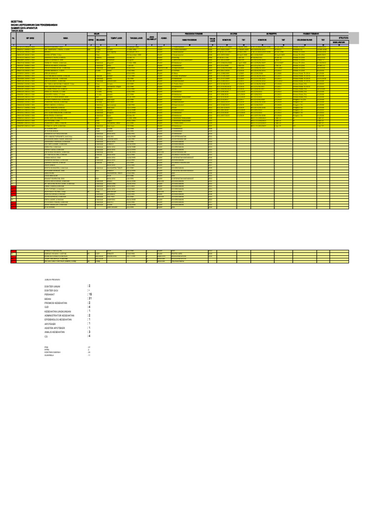 Format Bezetting 2023 New | PDF