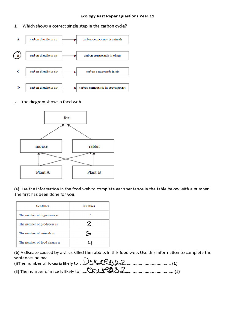 Year 11 Ecology Exam Questions | PDF | Food Web | Ecology