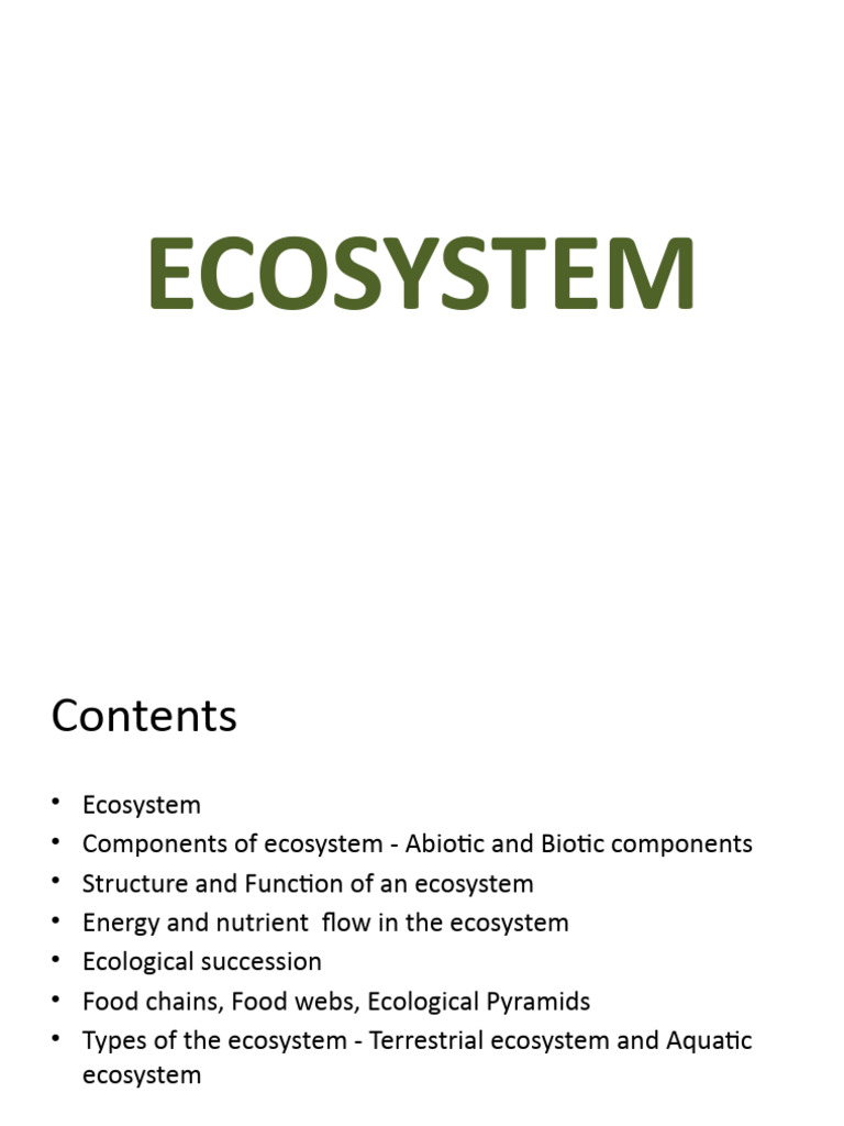 Ecosystem | PDF | Ecosystem | Food Web