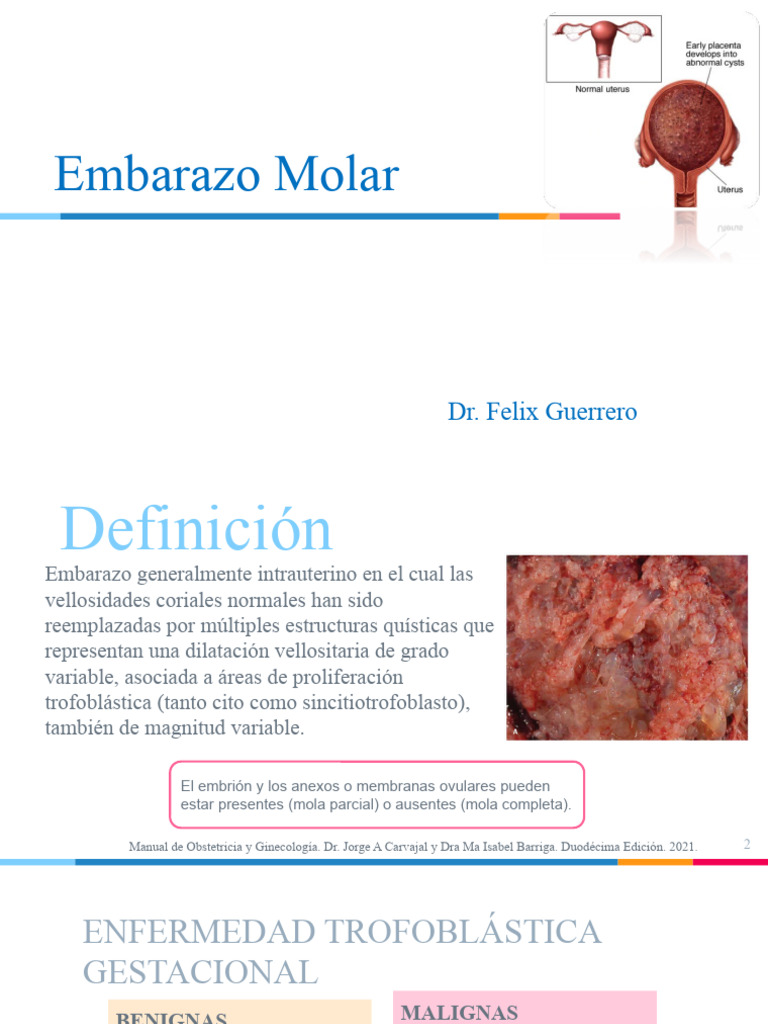 Embarazo-Molar Tercera Seman | Descargar gratis PDF | El embarazo ...