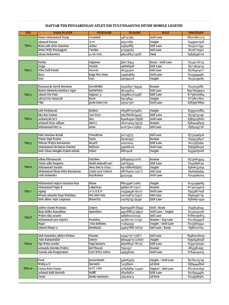 Final Data Tim MLBB Esita | PDF