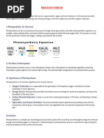 Photosynthesis: Ecosystem Vitality Explained | PDF | Photosynthesis ...
