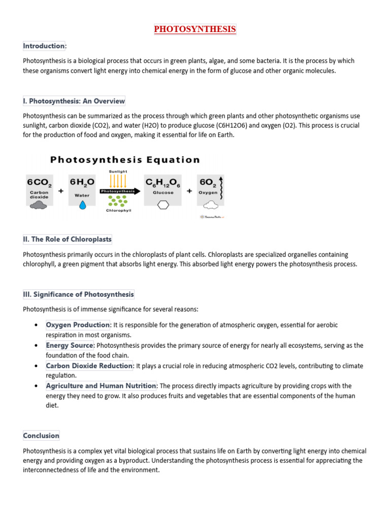 Photosynthesis 5 | PDF