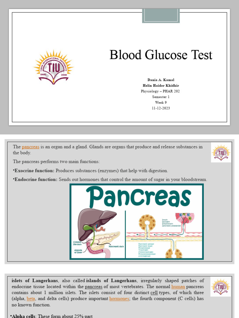 Blood Glucose Test Lab 8 | PDF | Pancreas | Glucose