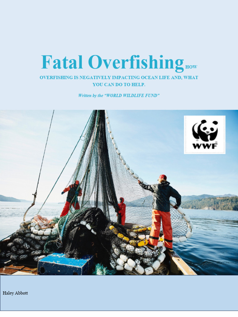 White Paper Final | PDF | Overfishing | Sustainability