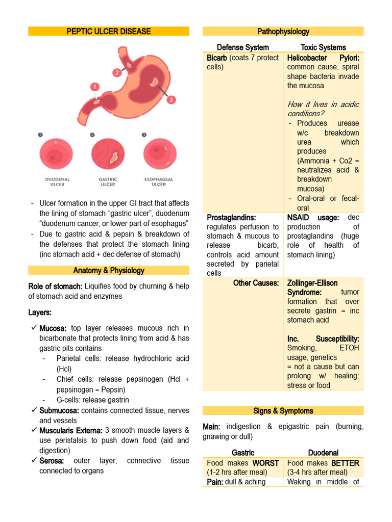 PEPTIC ULCER DISEASE | PDF | Stomach | Gastroenterology