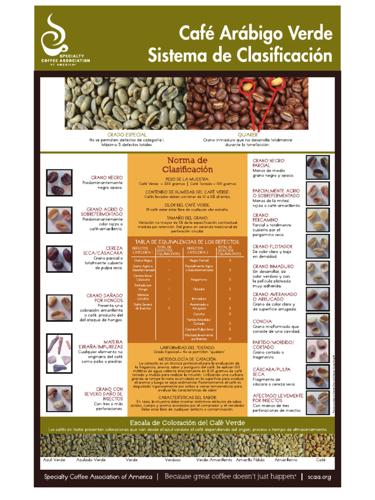 Green Arabica Coffee Classification System - SPN | PDF Green Arabica Coffee Classification System - SPN | PDF