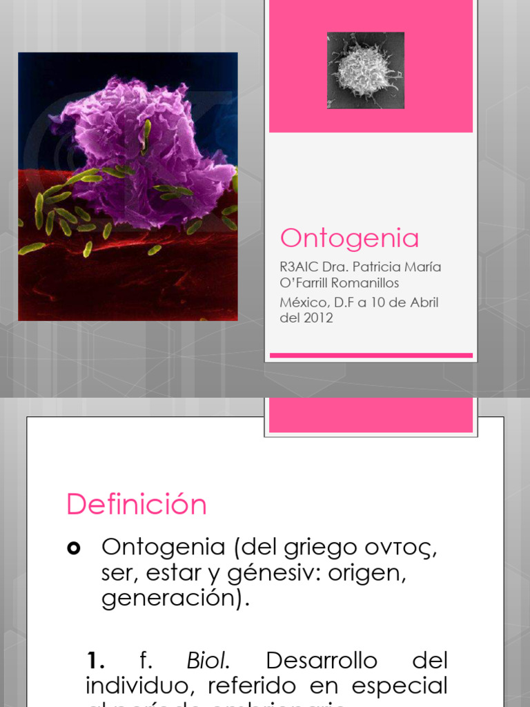 Ontogenia de linfocitos T y B | PDF | Célula T | Linfocitos