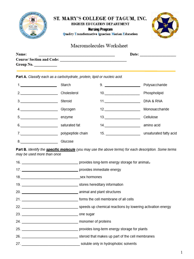 LAST Macromolecules Worksheet | PDF | Polysaccharide | Carbohydrates