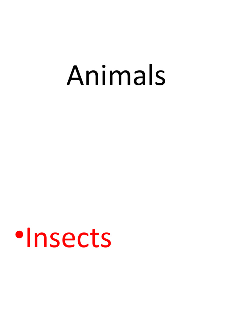 3A - File 9A - 1 Animals - Pictures and Names | PDF | Cooking, Food & Wine