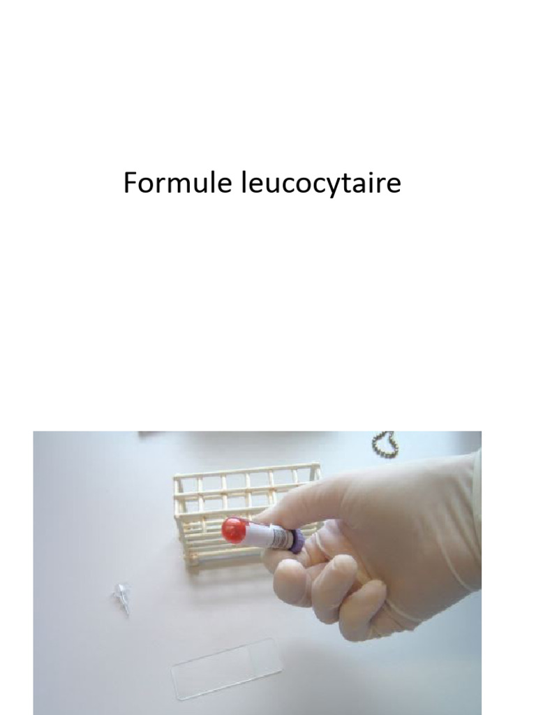 Guide Pratique du Frottis Sanguin | PDF | Sang | Anatomie
